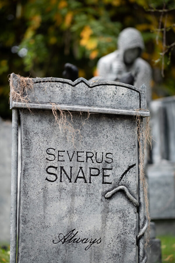 Davis Graveyard – Halloween Home Haunt