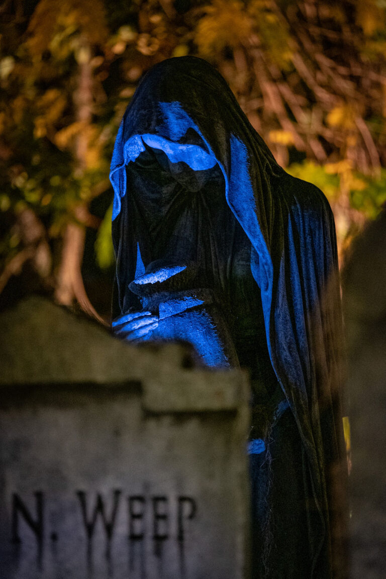 Davis Graveyard – Halloween Home Haunt