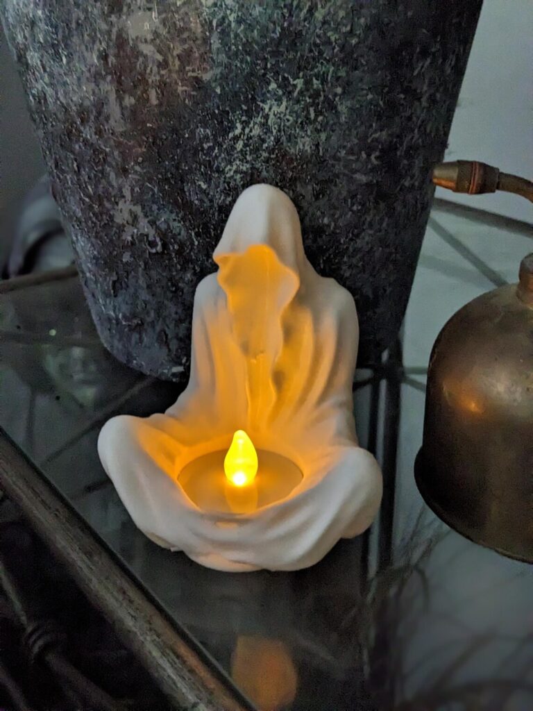 Introducing Namaste, the newest addition to our ghostly family! – Davis ...